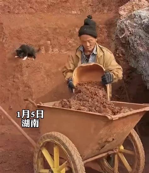 女子父亲坚持挖山30年，家人不理解，网友：现实版愚公移山老人小美视频
