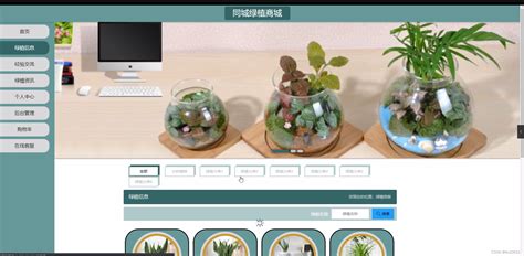 【附源码】java毕业设计同城绿植商城 Csdn博客