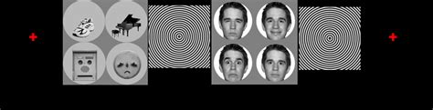 Experimental Paradigms Used During Meg Recording Adapted From