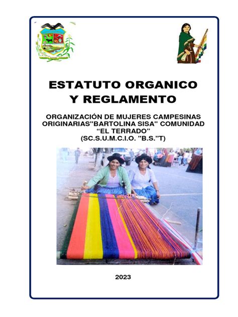 Estatuto Organico Y Reglamento El Terrado Pdf Derecho