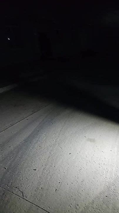 ЭМЭЭЛТЭЭС ШУУД Neguun Mn Мэдээллийн анхдагч бодит эх сурвалж