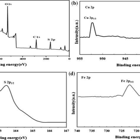 FESEM A B And TEM C D Images Of CuS Fe O Kalanchoe Download Scientific Diagram