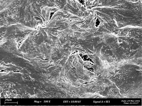 Sem Micrograph Of Peo Based Solid Polymer Electrolyte Download