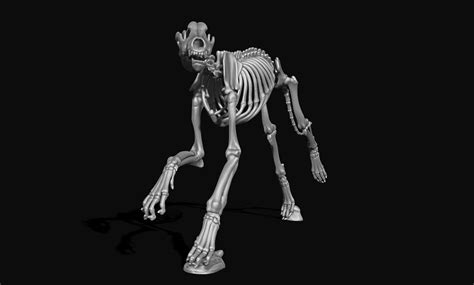 Great Dane Skelleton Cgtrader