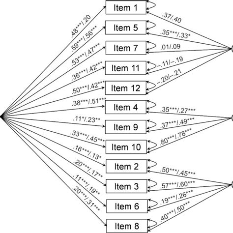 Graphical Illustration And Standardized Factor Loadings Of The Final