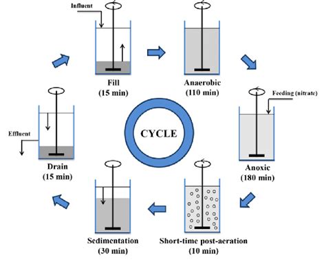 Sequencing Batch Reactor Operation For The Denitrifying Phosphorus Download Scientific Diagram