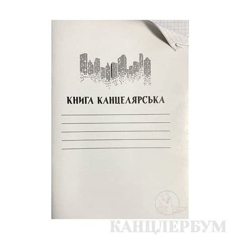 Книга канцелярська А4 96 48 арк газетка клітинка КК 48 96