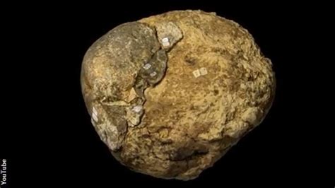 Shocking Study May Rewrite American History Coast To Coast Am