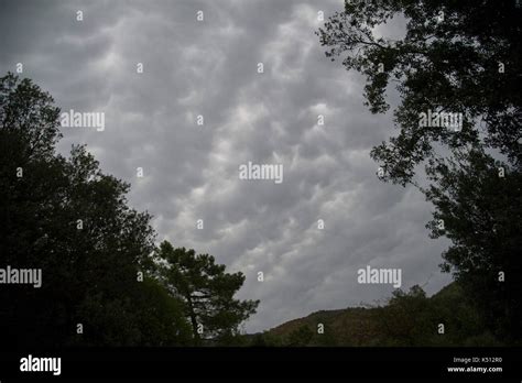 Stratocumulus Stratiformis Perlucidus Clouds In Loro Cuffienna Tuscany