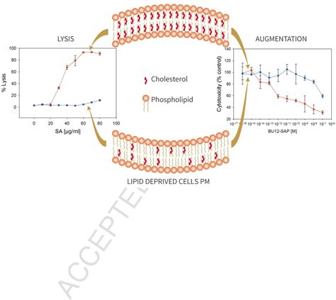 Figure 1 From Membrane Cholesterol Is Essential For Triterpenoid