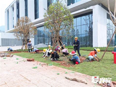 实拍！宜宾大学城第6所大学，“川外”建成啦，一所藏在公园里的学校 搜狐大视野 搜狐新闻