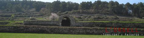 Consell Comarcal De L Urgell Consell Comarcal Urgell