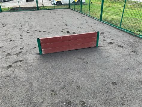 Реконструкция собачьей площадки в Солнцево Парк в октябре 2020 года ...