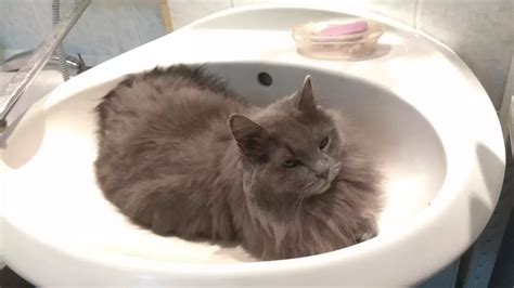 Murka Model Murka Model • Instagram Photos And Videos