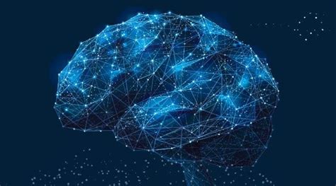 Tomra Introduces Deep Learning Add On For Autosort Machines Tomra