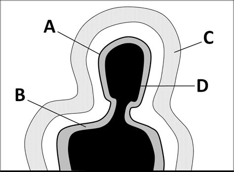 Background Motion Estimation Download Scientific Diagram