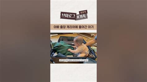 캐리어에 쏙 들어가는 5개월 아기 Youtube