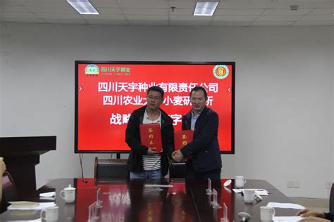 首批100万！四川天宇种业与小麦研究所签订合作协议 四川农业大学小麦研究所