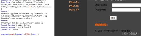 掌控安全 header注入 header存在注入危险 访问已被禁止 csdn博客