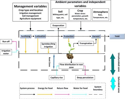 Crop Growth Simulation Framework Considering Interactions With Water Download Scientific