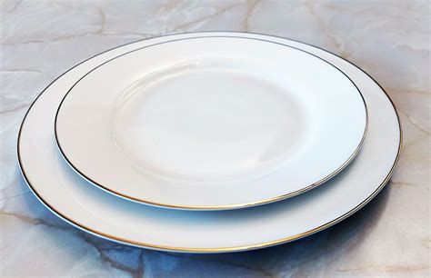 Dinner Plates With Gold Rim Set Of 2 White Ceramic Dinner Plate 25cm