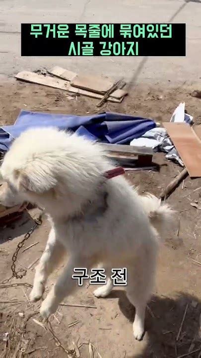 더 높이 날아다니는 중 Youtube