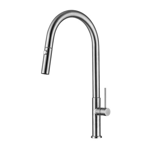 Swiss Aqua Technologies Single Lever Swivel Spout Kitchen Mixer Tap