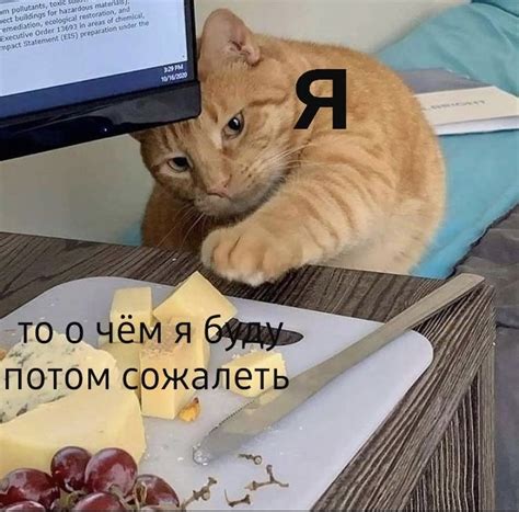 Russian Memes United On Twitter Me Something I Will Regret Later Https T Co IyQqsFFLGX