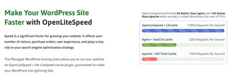 What Is WooCommerce Hosting ScalaHosting Blog
