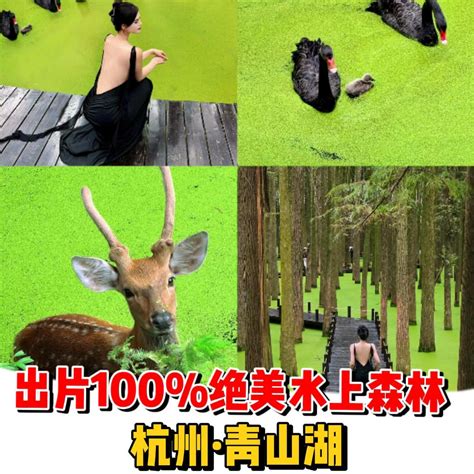 吃喝玩乐我最大 Eatplay Eatplay 天王巨星即将开在leisure Mall对面😱⁉️ 小编偶然发现以前maxis的店已经换