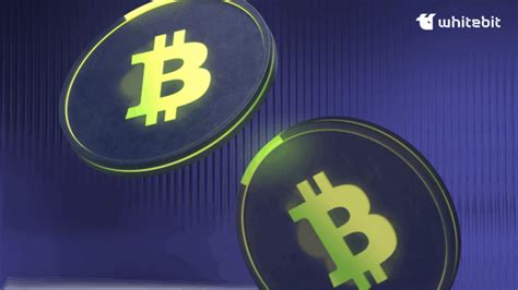 Asic Mining Hardware Complete Guide How To Mine The Asic Whitebit Blog