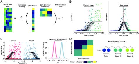 Learning Single Cell Pseudotimes With Parametric Models A Ouija Download Scientific Diagram