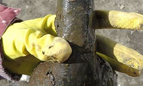 Sex Toy From Th Century Is Discovered In Poland By Archaeologists Daily Mail Online