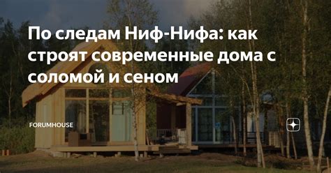 По следам Ниф Нифа как строят современные дома с соломой и сеном