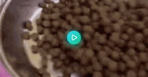 Please Sir I Want Some More  On Imgur