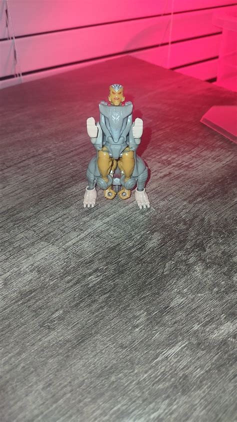 Just A Normal Rat R Transformers