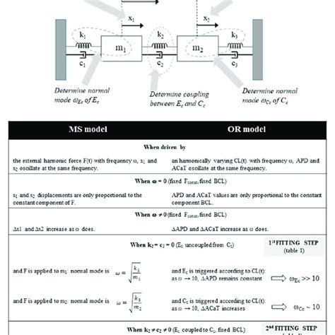 Parallelism Between Or And Ms Models Top The Ms Model With