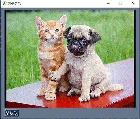 chatgptにpysimpleguiを使用した画像ビューワーを作ってもらいます medical python