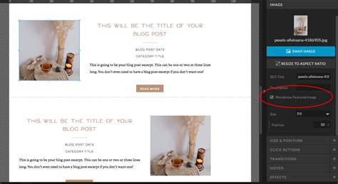 how does a showit blog work with wordpress showit blog