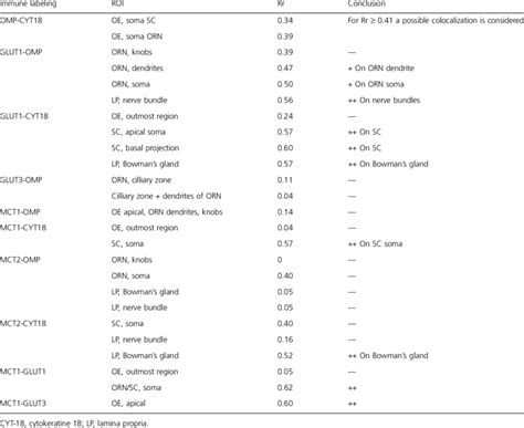 Pearsons Correlation Coefficient Rr For Double Immune Labeling And
