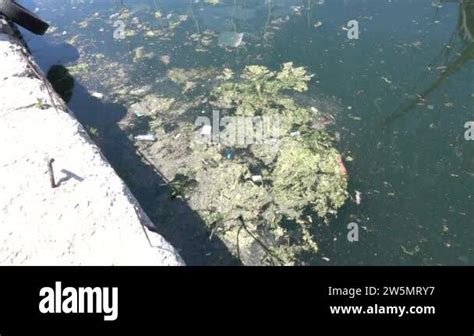 Junk And Garbage Floating In Sea At Port Water Pollution Stock Video Footage Alamy