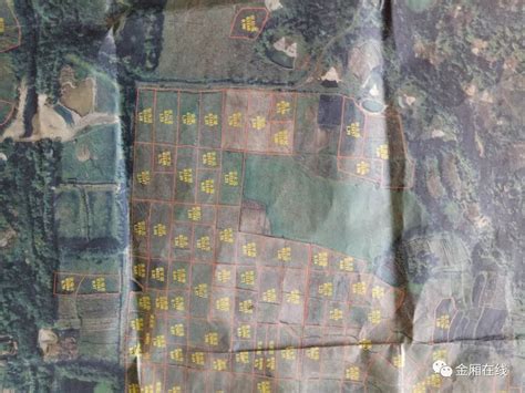 金厢镇下埔村土地确权第一轮公示开始咯~ 搜狐大视野 搜狐新闻