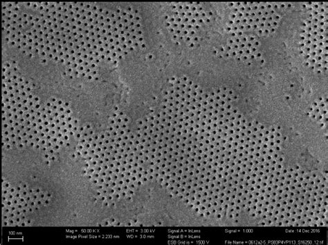 Pick Yolo Helmholtz Imaging De