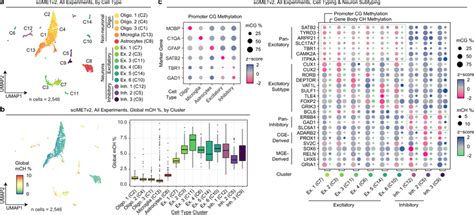 Scimetv Cell Type Analysis And Method Bias Assessment A Umap