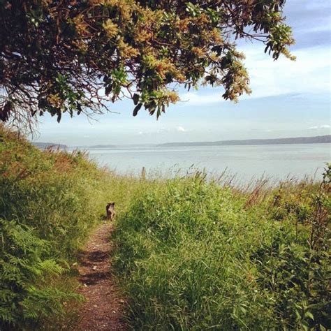 Camano Island State Park Campground Camano Island Wa