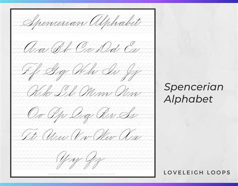 Beginner S Guide To The Spencerian Script Tutorial Loveleigh Loops