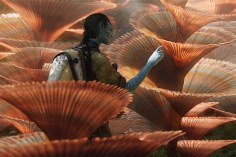James Cameron First Two Avatar Sequels Nearly Complete Insidehook