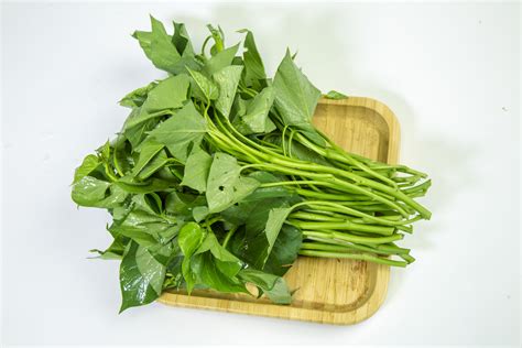 新鲜蔬菜空心菜图片 高清图片素材
