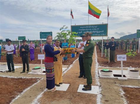 နမ့်စန်တွင် တမလန်းသစ်နှင်းဆီ ပျိုးပင်ပေါင်း ၉၅၀ စုပေါင်းစိုက်ပျိုး Information And Public
